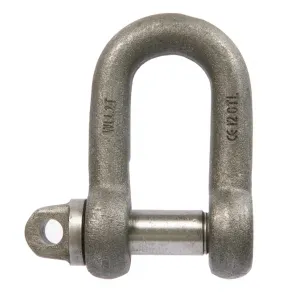 Large Dee Shackles